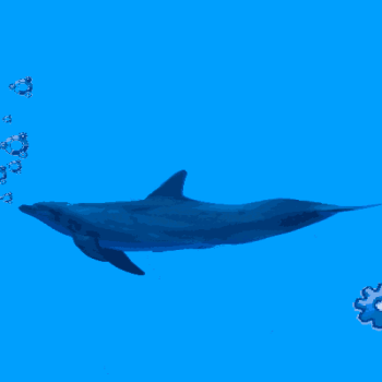 GRUB Themes - Gnome-look.org