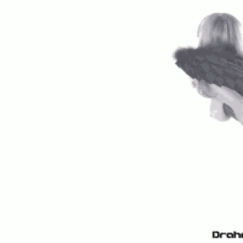 GRUB Themes - Gnome-look.org