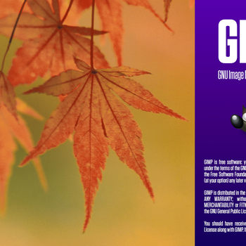 Gimp - Gnome-look.org