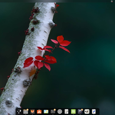 Windows 12 Light - KDE Store