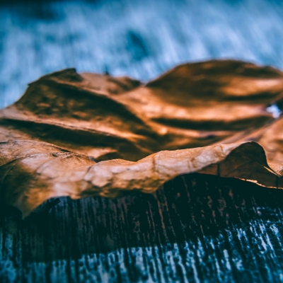 Beautiful wallpaper 180 - KDE Store