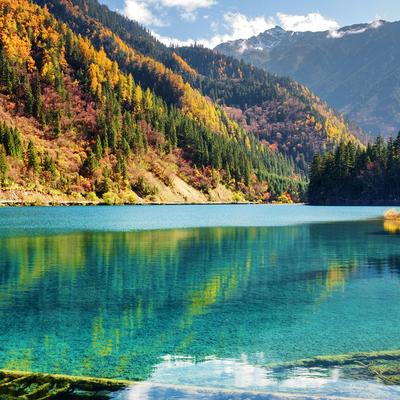 Armenia Lastiver Autumn Forest River Stone - KDE Store