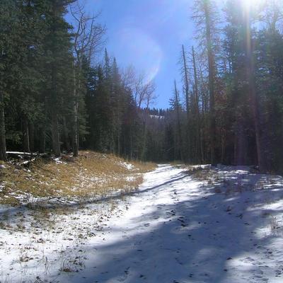 The Path - KDE Store