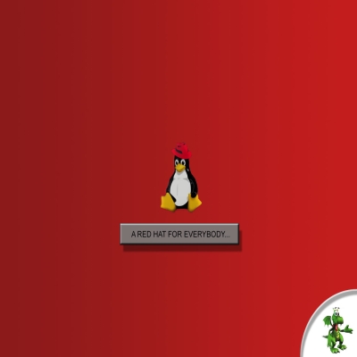 A Red Hat for everybody - KDE Store