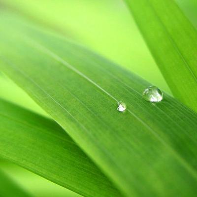 The last drop - KDE Store