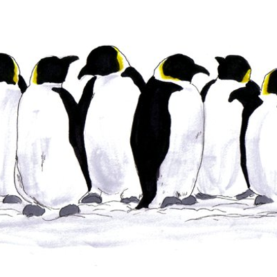 Penguin Mohawk Splash Screen - KDE Store