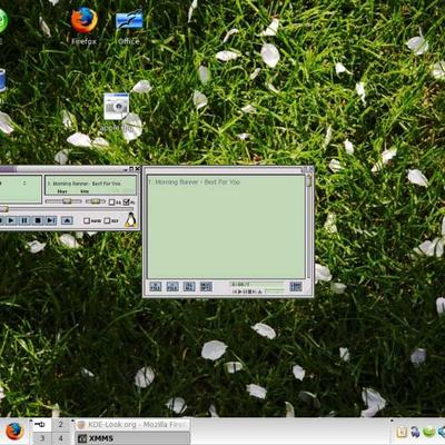 Apple blossoms - KDE Store