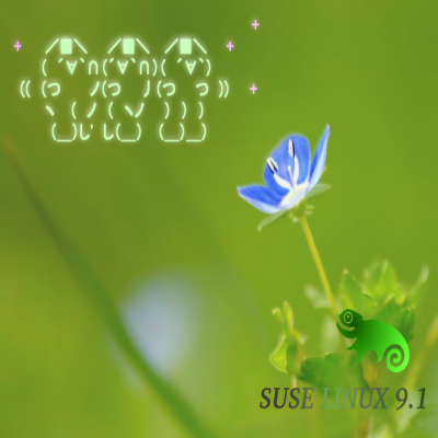 SUSE LINUX 9.1 landed in JAPAN - KDE Store