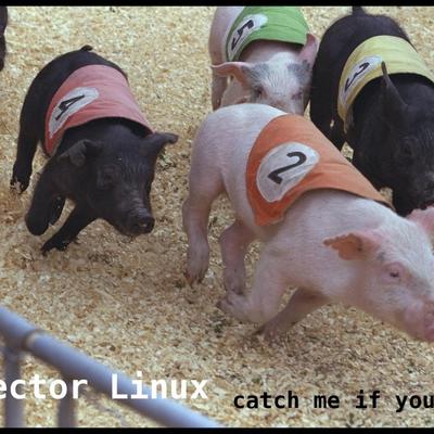 Vector linux pig racing - KDE Store