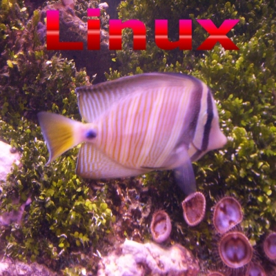 Fish - KDE Store