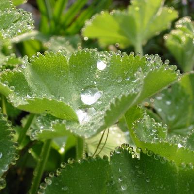 Crystal Drops 2 - KDE Store