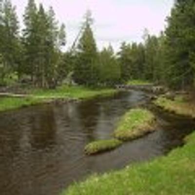 Wooded Stream - KDE Store