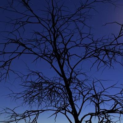 Cold Night - KDE Store