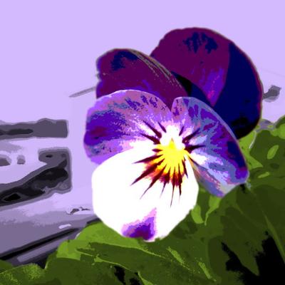 A history of violet - KDE Store