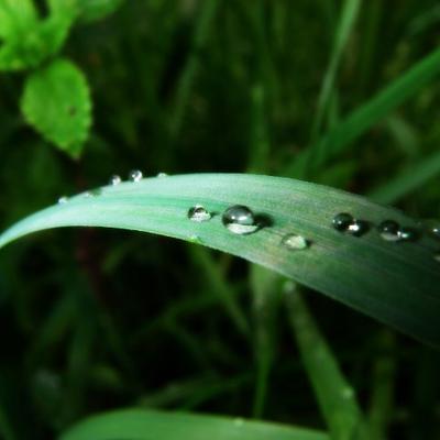 Raindrop 1 - KDE Store