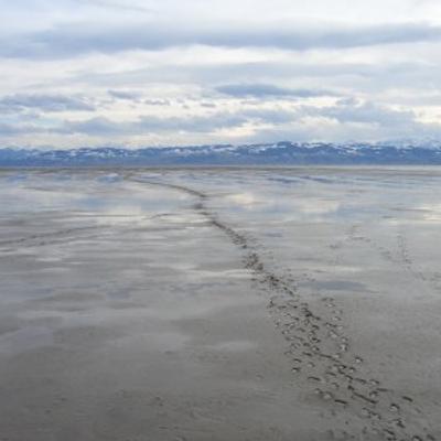 walk through sludge - addons.videolan.org