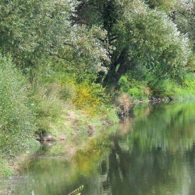 At the river - KDE Store