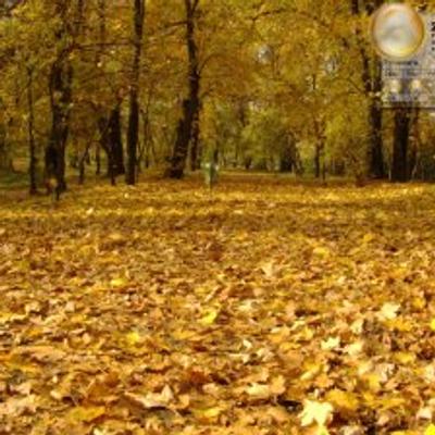autumn in the park - KDE Store