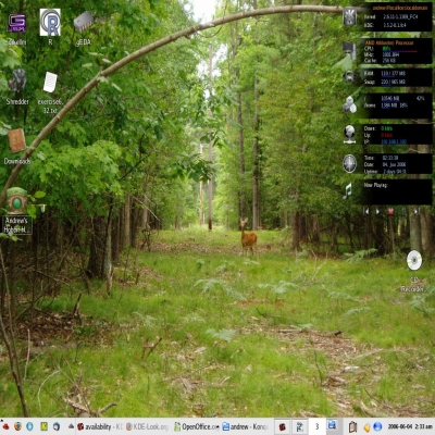 Forest Path - KDE Store