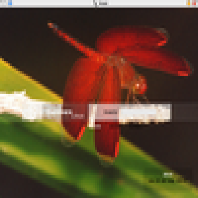 DragonFly Red - KDE Store