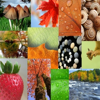 Linux Nature - KDE Store