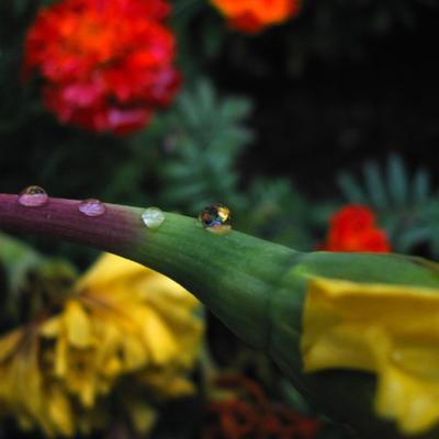 water drop 1 - KDE Store