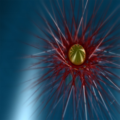 Geometry - KDE Store