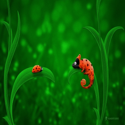 Ladybug and Chameleon - KDE Store