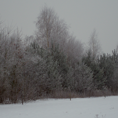 Wallpaper no. 423 - Winter - KDE Store