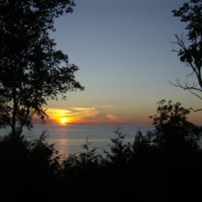 Sunset through the trees - KDE Store