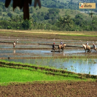 Republica Ubuntu, rice plow in bonao - KDE Store