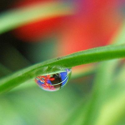 one drop - KDE Store