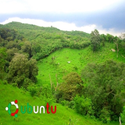 Landscape with Ubuntu MX Logo Simple - KDE Store