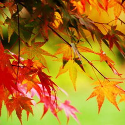 ready for autumn - KDE Store
