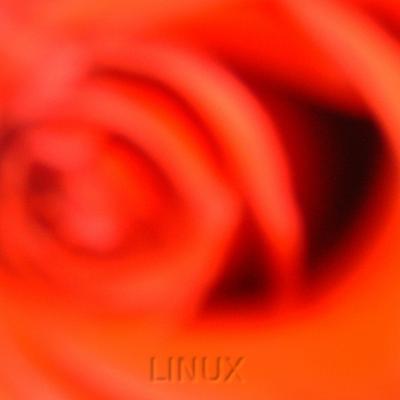 Linux Rose - KDE Store