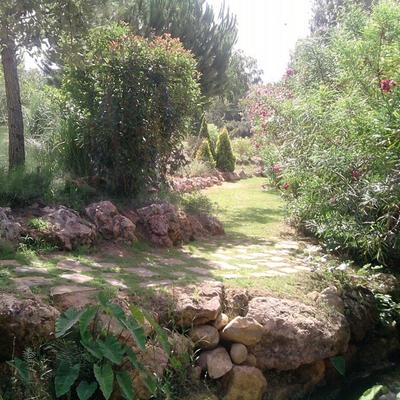 Beautiful Garden - KDE Store