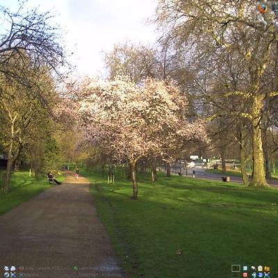 Cherry Tree - KDE Store