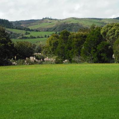 Lake Waro - Park - addons.videolan.org