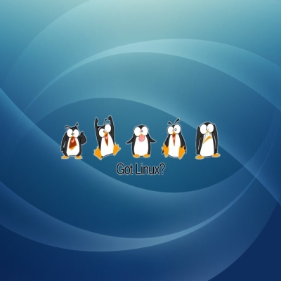 Got Linux? v.4 - KDE Store