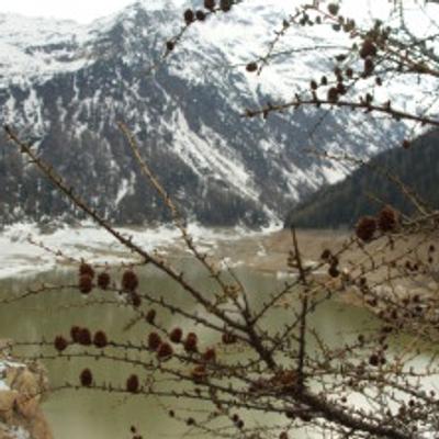 Alpine lake - KDE Store