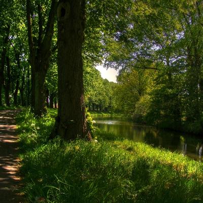 Way of Nature - KDE Store