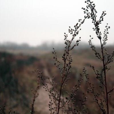 Autumn Path - KDE Store