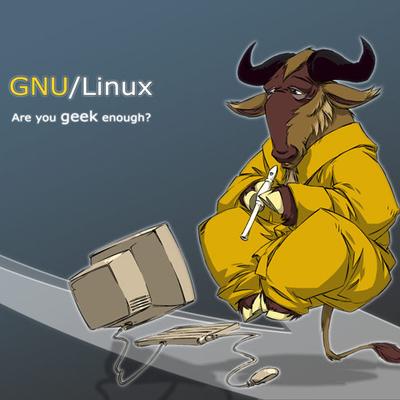Linux Geek - KDE Store