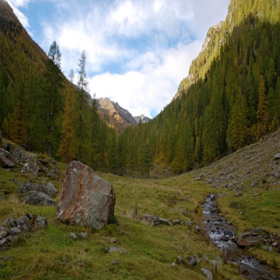 Morning n the mountain forest - KDE Store