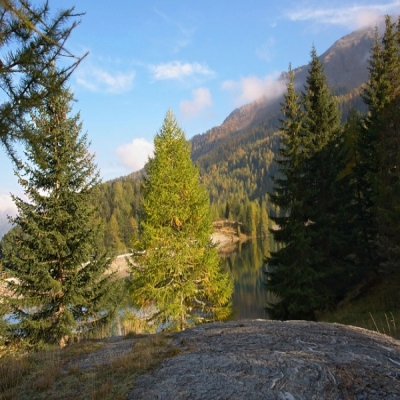 Trees and water in the mountains - KDE Store