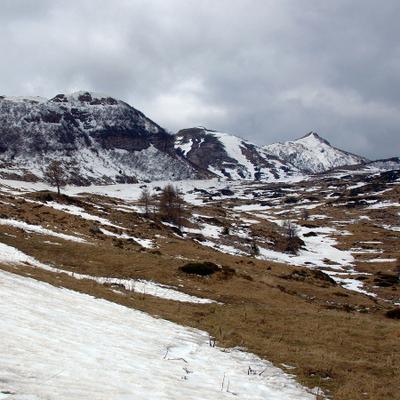 Wide Wild - area Vasta - KDE Store