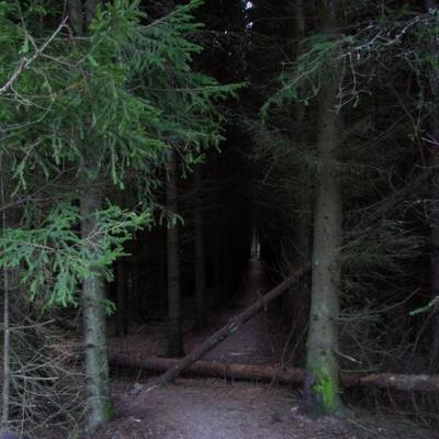 Straight Path - KDE Store