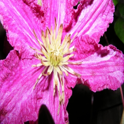 Mandriva Background Project Wallpapers - KDE Store