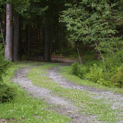 The Winding Path - KDE Store