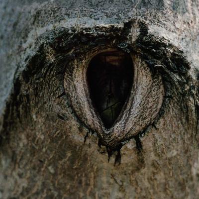 eye of nature - KDE Store